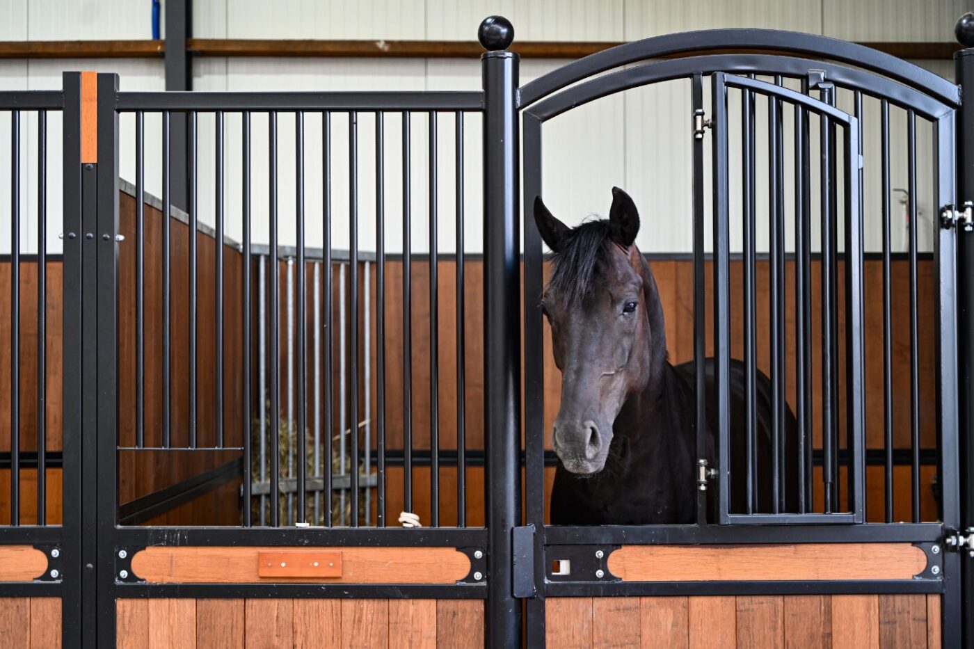 Hochwertige Pferdeställe und Stalleinrichtungen bestellen